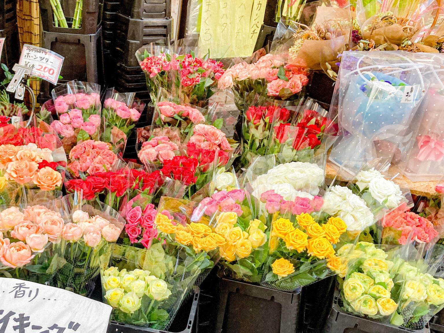 【EPARKペイメントサービス導入事例】ハピフラカンダ｜小売 | ペイレポ！｜EPARKペイメントサービス